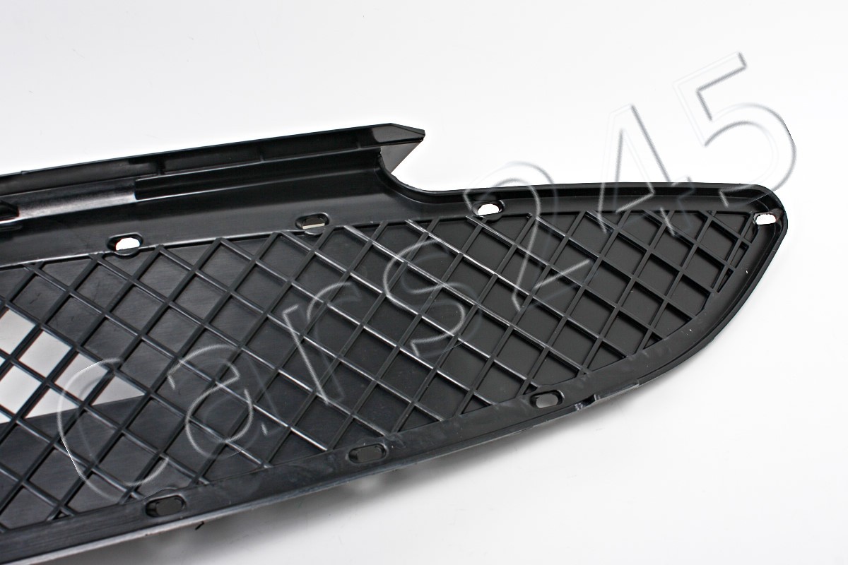 Front Bumper Central Grille Lower Grill BMW Z4 E85 2002-2006 | eBay