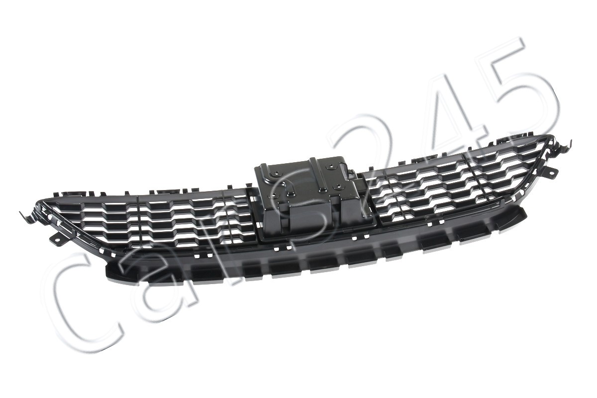 Genuine BMW F20N F21N Front Bumper Center Lower M ACC Grille OEM ...